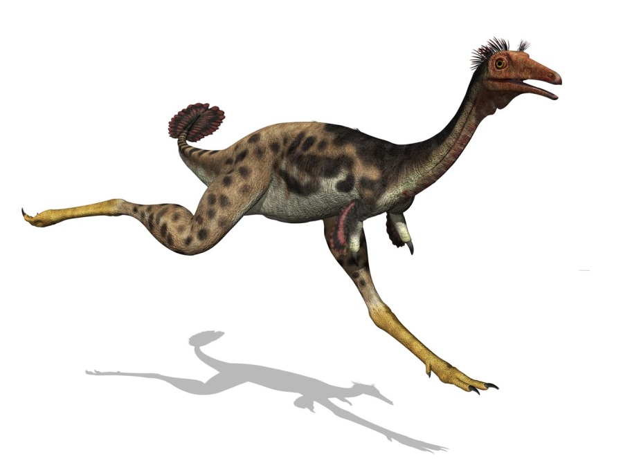 モノニクス(Mononykus) | 恐竜図鑑