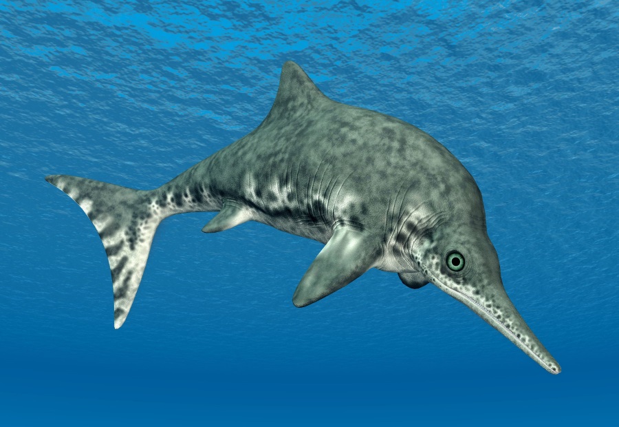 ステノプテリギウス(Stenopterygius) | 恐竜図鑑